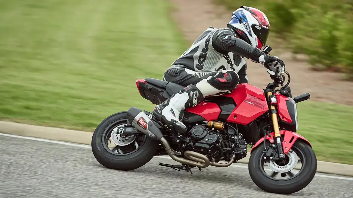 The Truth Behind Honda Grom Top Speed According To Reddit
